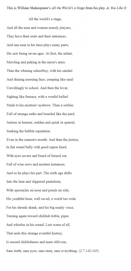 Guide On MLA Block Quote (Tips + Examples) | Homework Lab